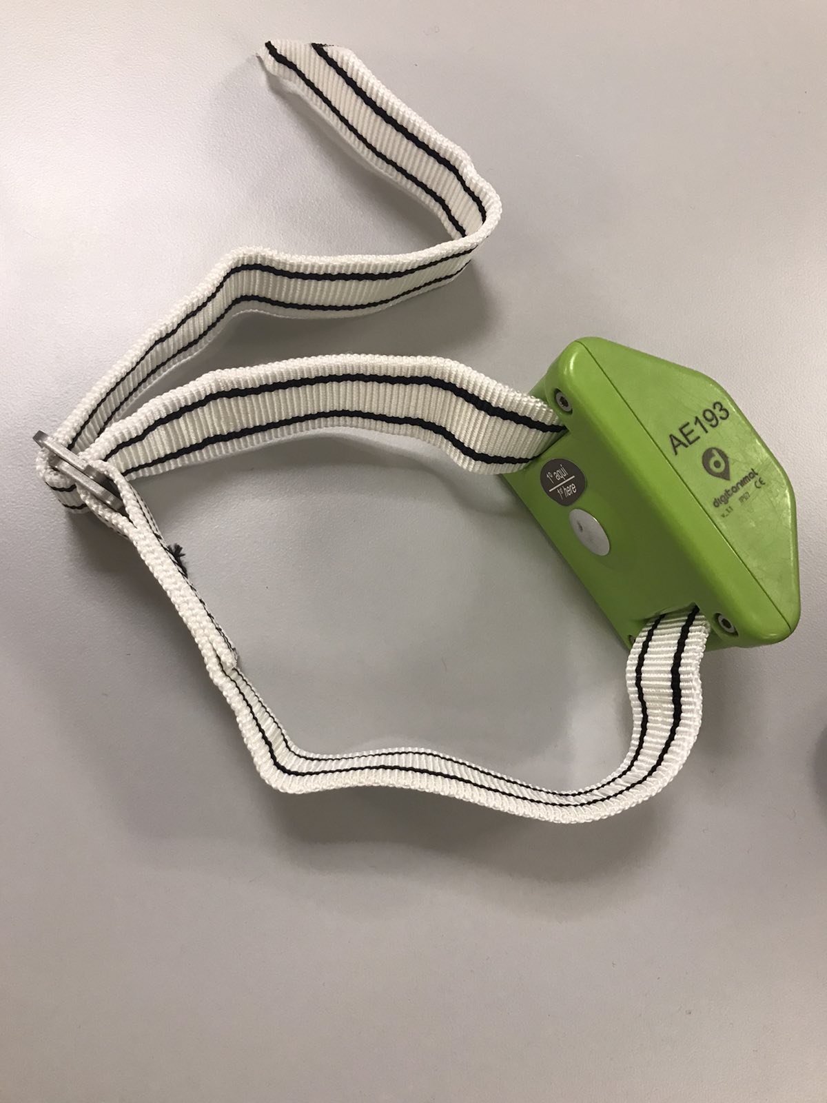 Animal husbandry is technologically evolving through the TERMINET ...